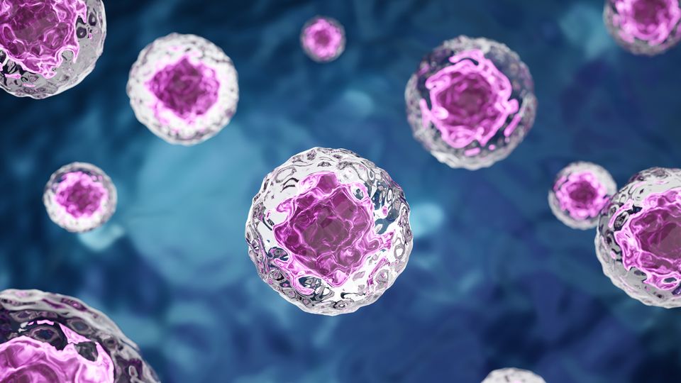 Whole Cell Stress Sensing in Cancer Drug Discovery | Technology Networks