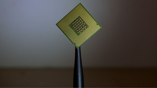 Microneedle Sensor Monitors Drug Levels in Real Time | Technology Networks