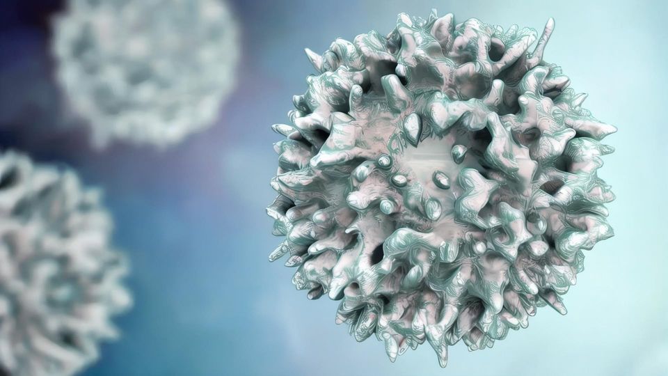Infectious Disease Pipeline Gains New Therapies | Technology Networks