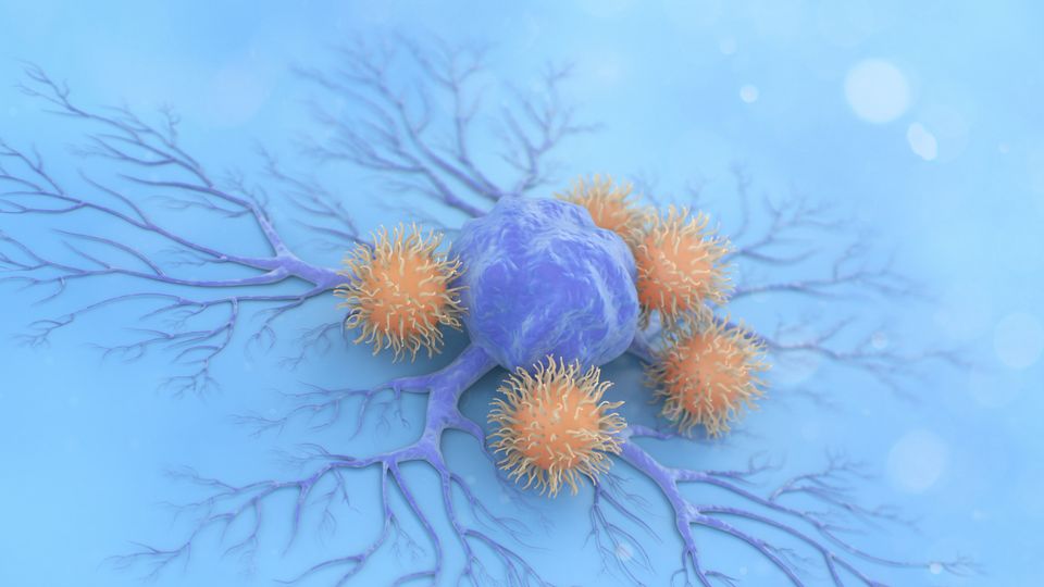 Protein Suppression Enhanced NK Cell Cancer Killing | Technology Networks