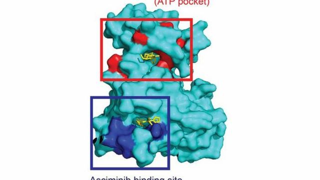 Drug Binding Tool Enhances Discovery | Technology Networks