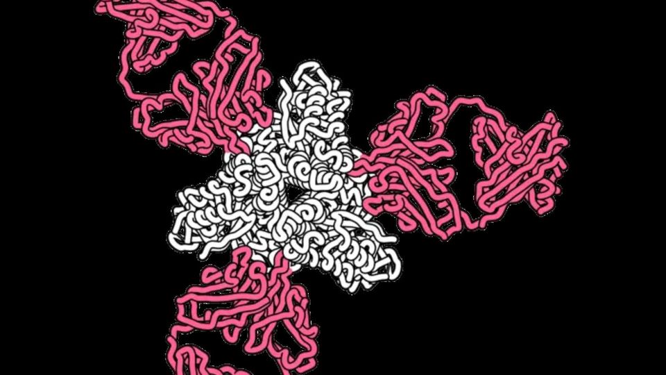Human Antibodies May Block Measles Infection | Technology Networks