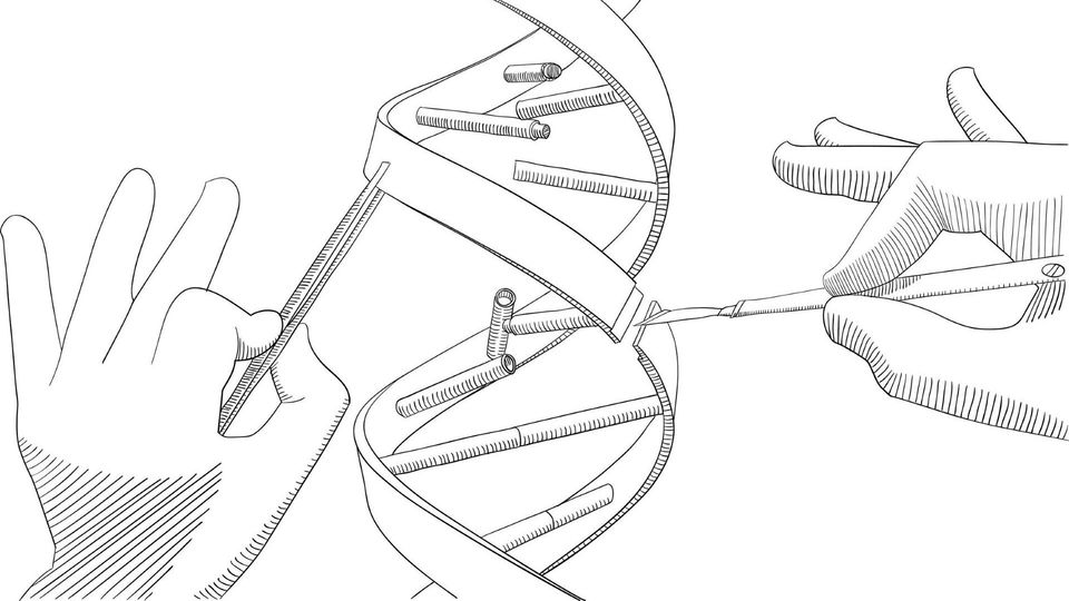 Gene Editing Technique Replaces Long DNA Regions | Technology Networks