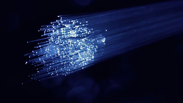 Light-Based Technique Speeds Bacteria Detection | Technology Networks