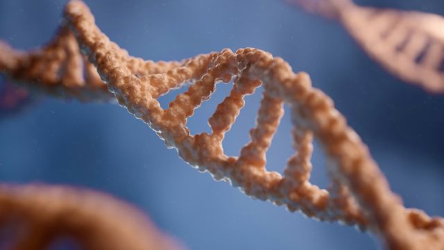 AI Tool Predicts RNA Splicing in Cancer | Technology Networks
