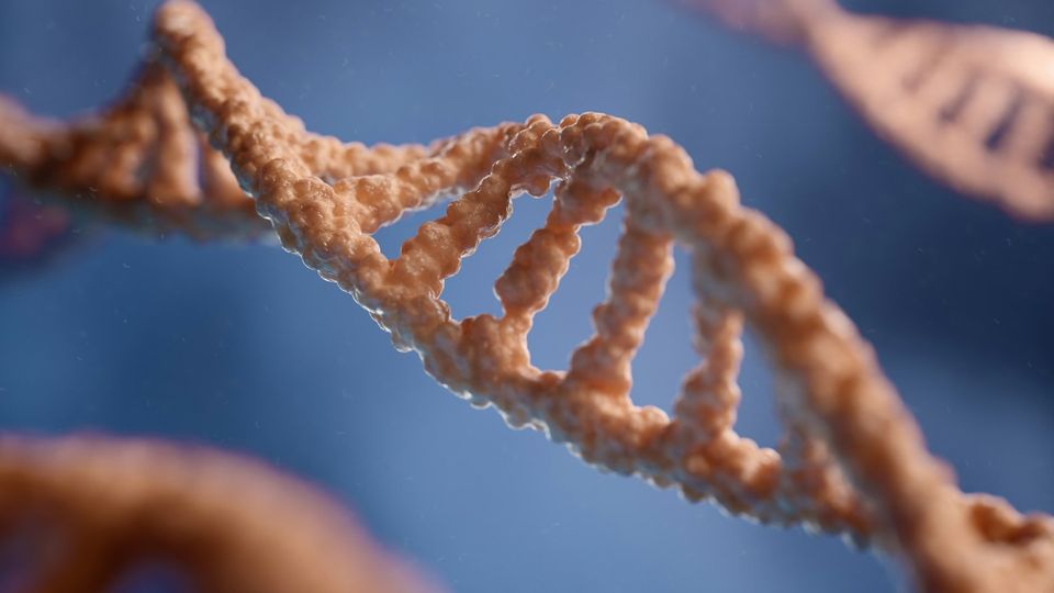 AI Tool Predicts RNA Splicing in Cancer | Technology Networks