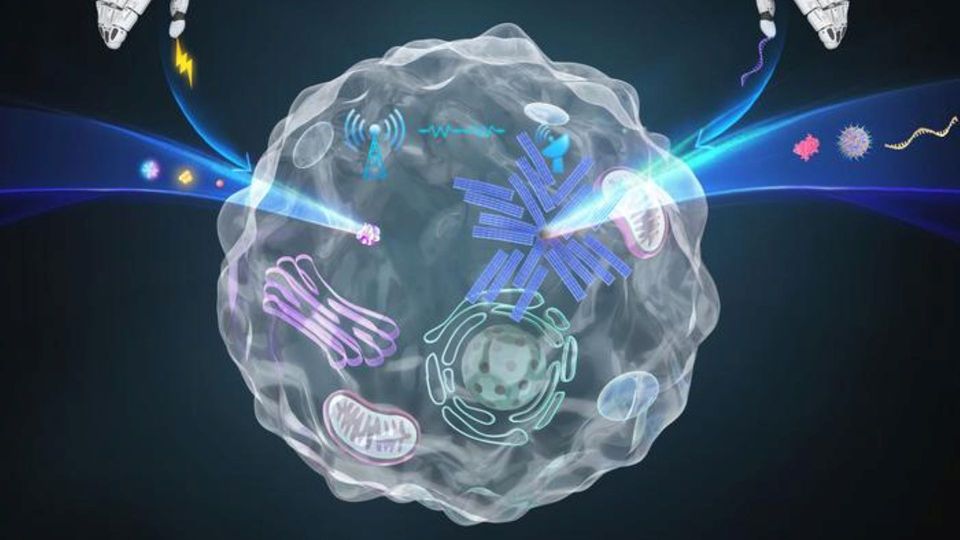 DNA Nanotechnology Mimics Cellular Systems | Technology Networks