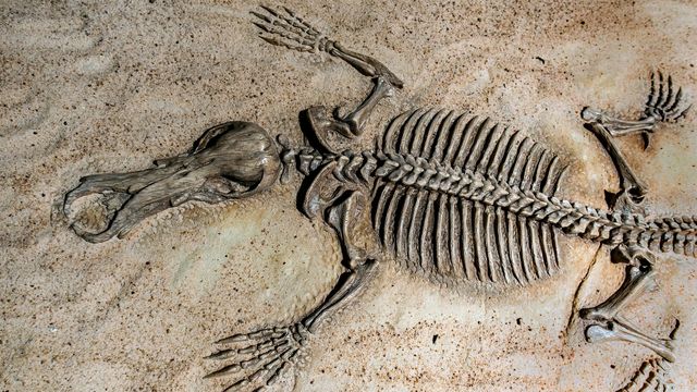 Ancient Proteins Reveal Evolution Beyond DNA Limits | Technology Networks