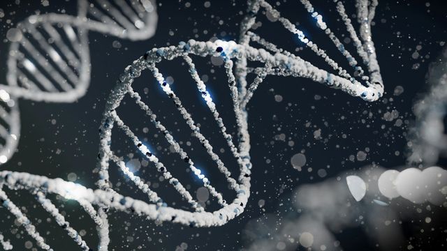 RELA Mutation Boundary May Predict Disease Risk | Technology Networks