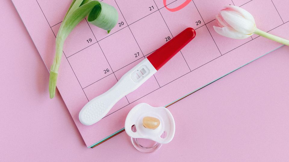 mRNA Therapy for Uterine Factor Infertility | Technology Networks