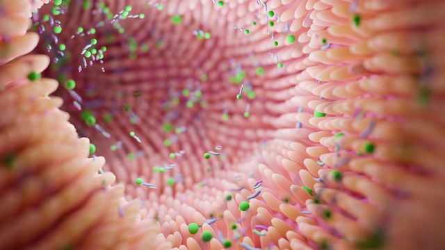 Modern Medicine Linked to Gut Microbiome Diversity Decline | Technology ...