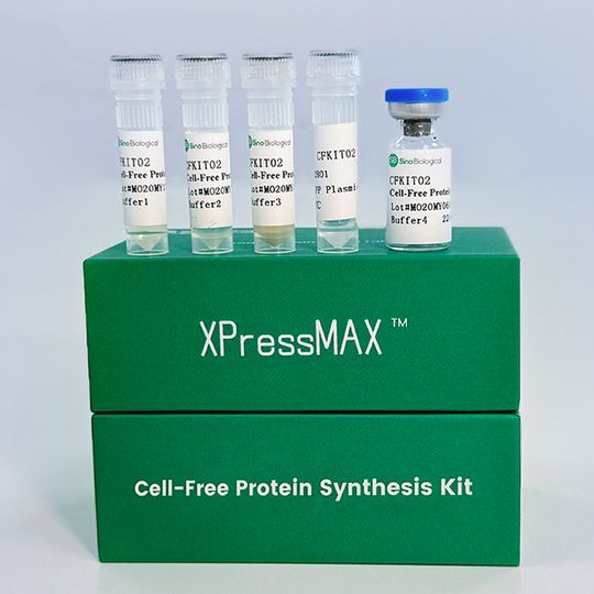 XPressMAX™ Kit: Protein Expression in 3 Hours | Technology Networks