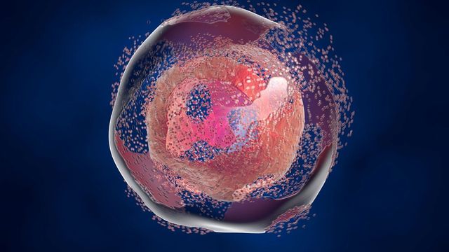 Metabolic Rewiring Protects Cells From Ferroptosis | Technology Networks