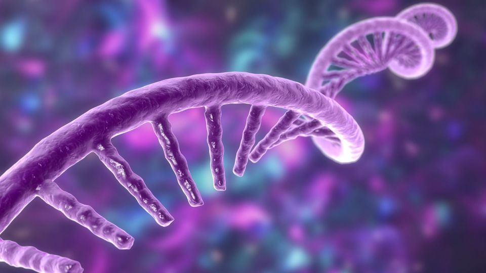 MicroRNA-25 Linked to Cancer Treatment Resistance | Technology Networks