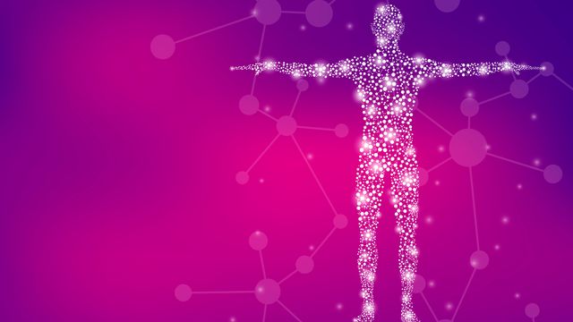 Hormone Cell Atlas Maps Signaling Across the Body | Technology Networks