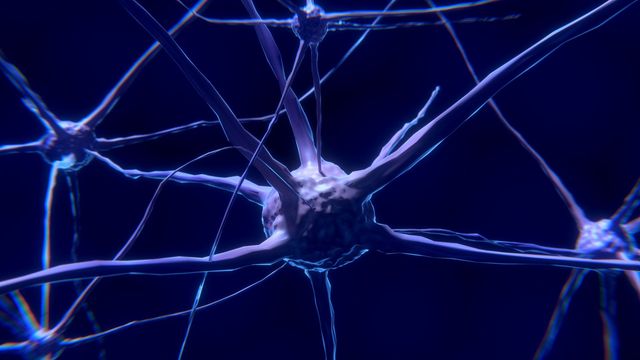 New Brain Rhythm May Reveal Conscious States | Technology Networks