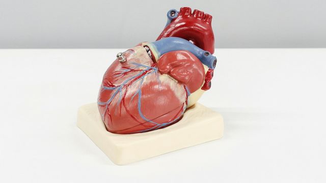 RNA Therapy Targets Genetic Cause of Heart Failure | Technology Networks