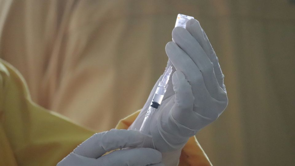 Leishmaniasis Vaccine Enters Human Trials | Technology Networks