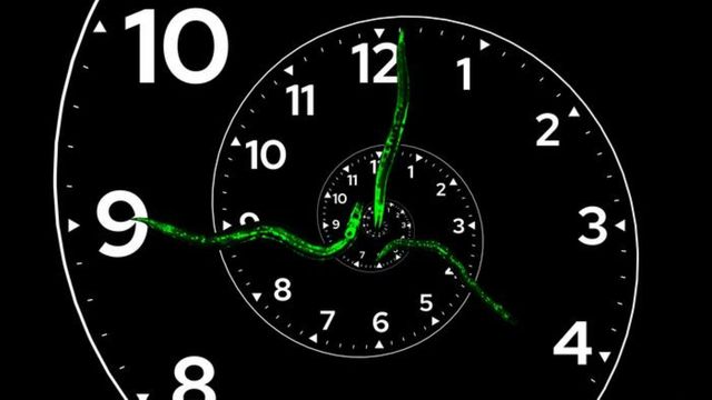 Master Timing System Drives Growth and Maturation | Technology Networks