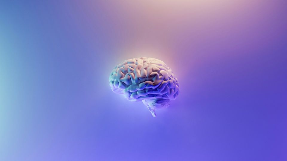 Microglial Changes Linked to Alzheimer’s Resilience | Technology Networks