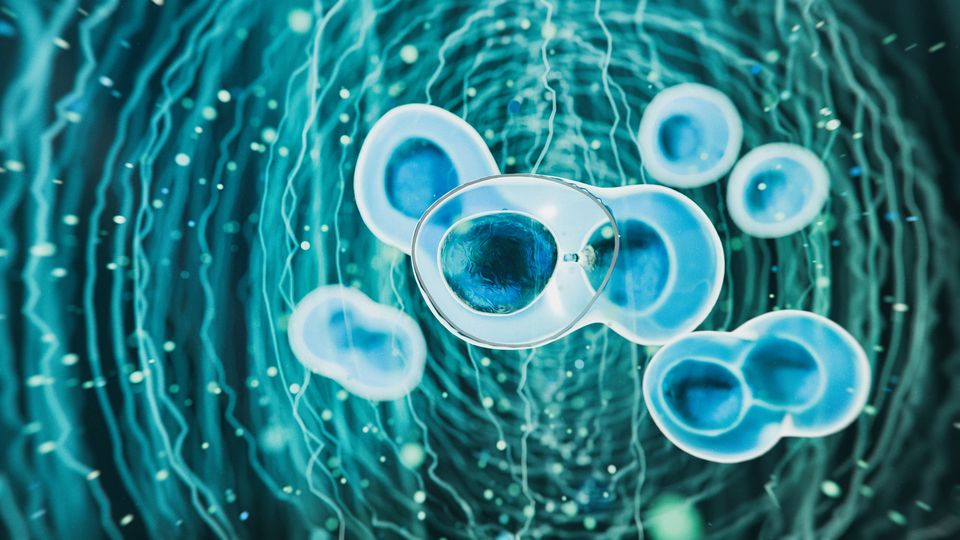 AI Caffeine Switch Created | Technology Networks