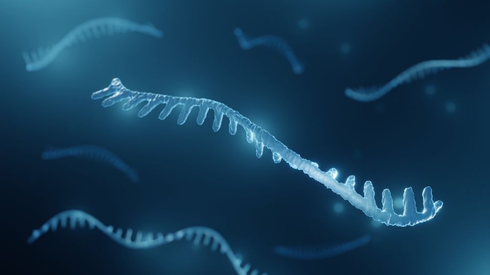 Small RNA Therapeutics May Overcome Tumor Resistance | Technology Networks