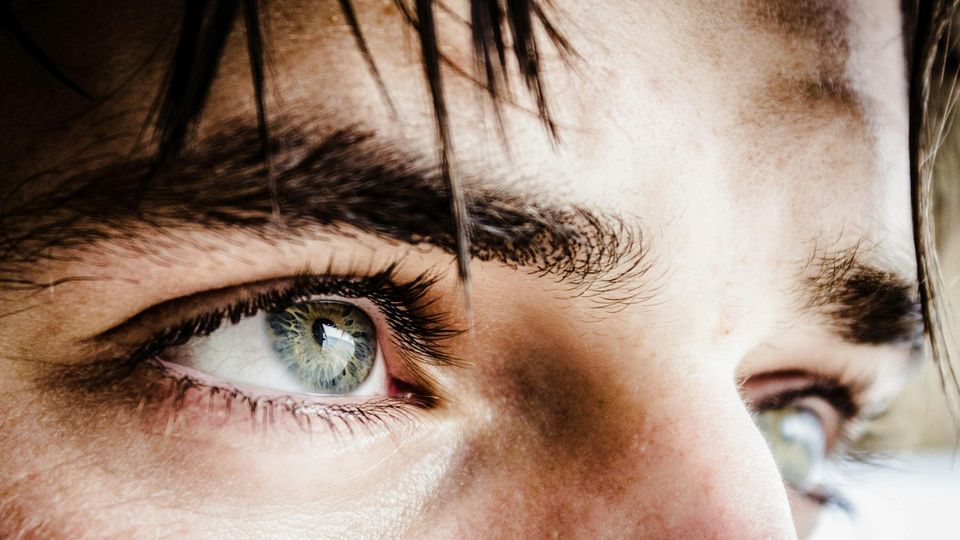 Retinal Cell Discovery Could Improve Eye Transplants | Technology Networks