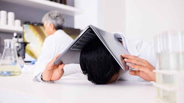 Brain Circuit Links Reward Processing to Stress Relief | Technology ...