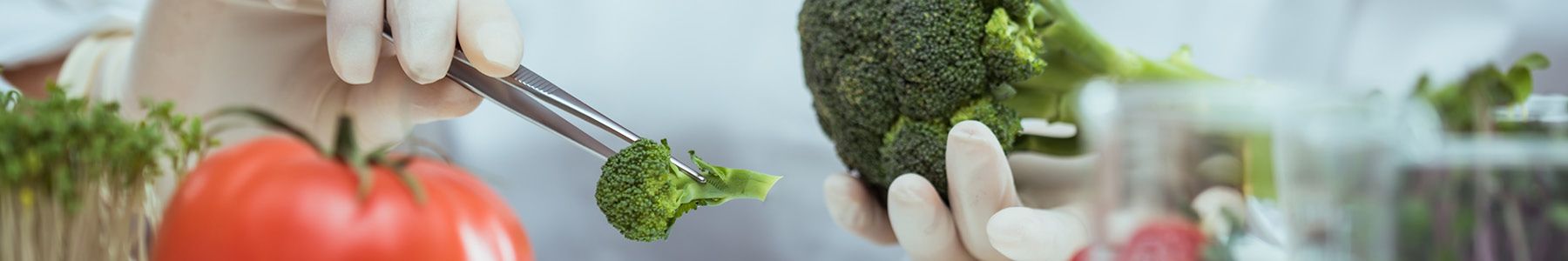 Ask the Expert: Solutions to Global Food Fraud | Technology Networks