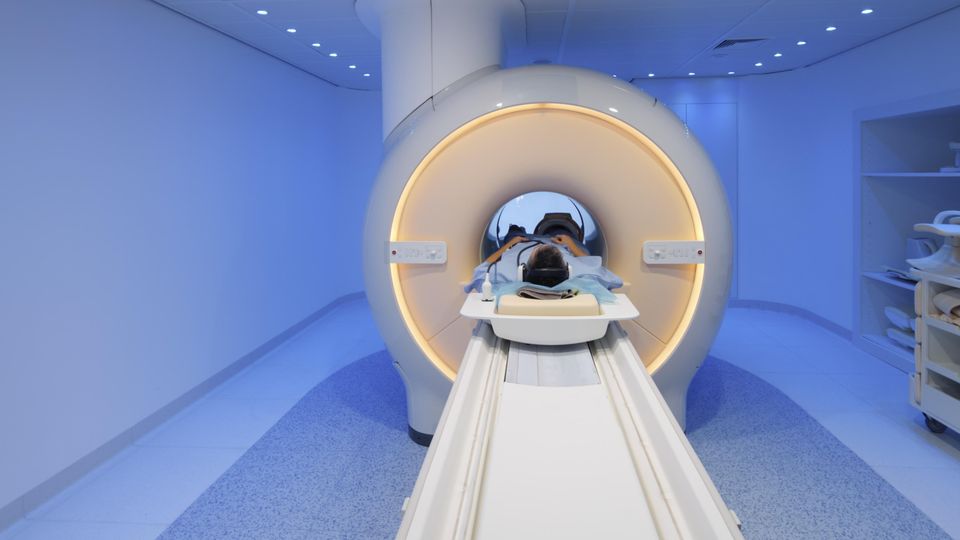 Brain Lithium Levels Track Blood Across Dosing Schedules | Technology ...