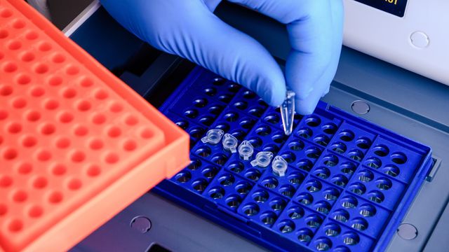 PCR | Technology Networks