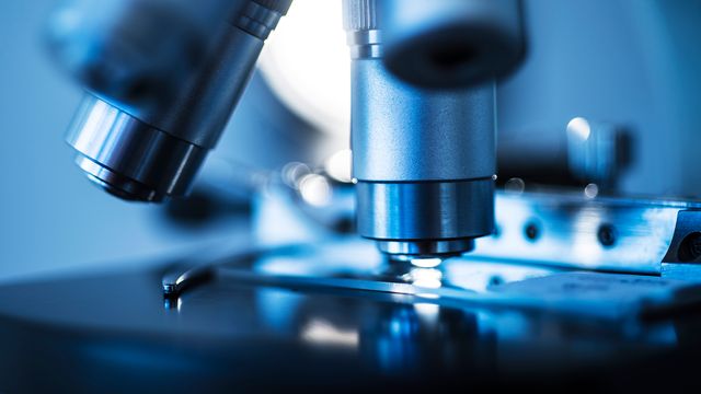 Light Microscopy | Technology Networks