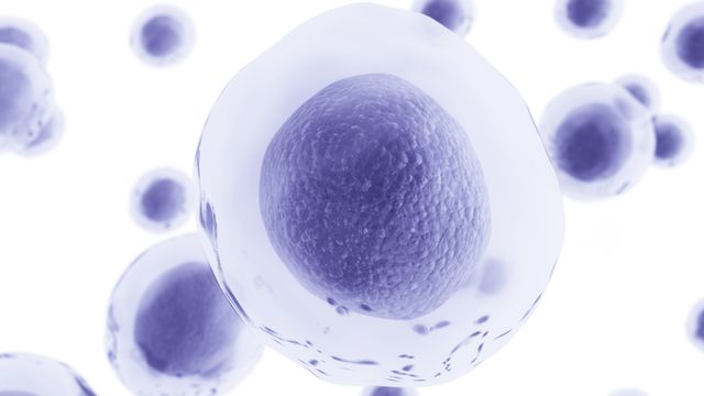 Single Cell Analysis Technology Networks