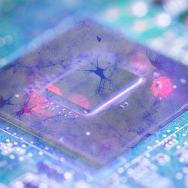 Topic Hub | Technology Networks