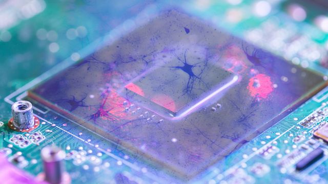 Advanced Cell Models | Technology Networks