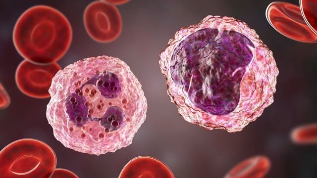 Flow Cytometry Technology Networks