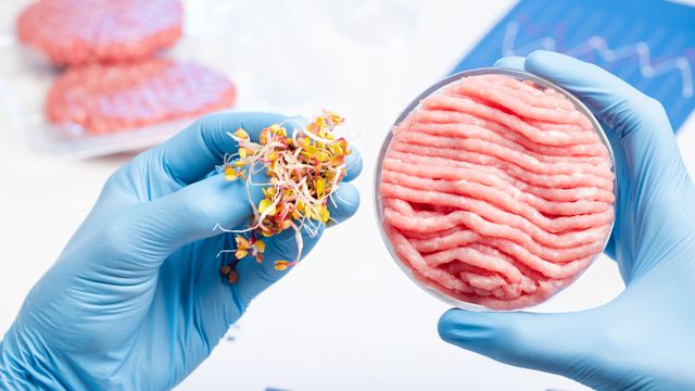 Future Foods | Technology Networks Future Foods | Technology Networks