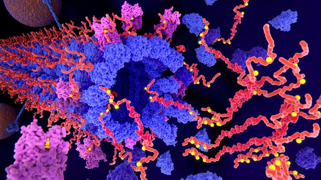 Structural Biology | Technology Networks