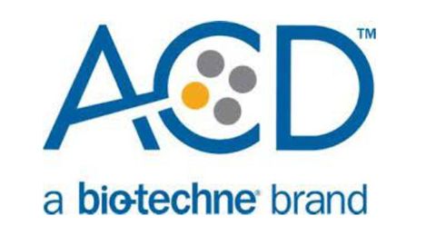 Visualize ASO, miRNA, or siRNA with miRNAscope™ | Lab Equipment ...